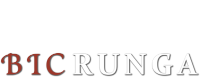 Bic Runga | TheAudioDB.com