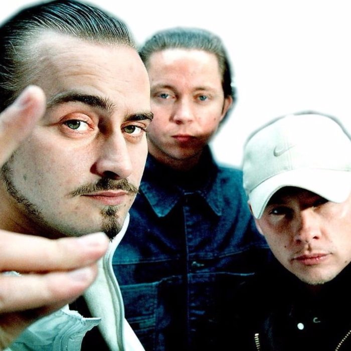 Den Gale Pose | TheAudioDB.com