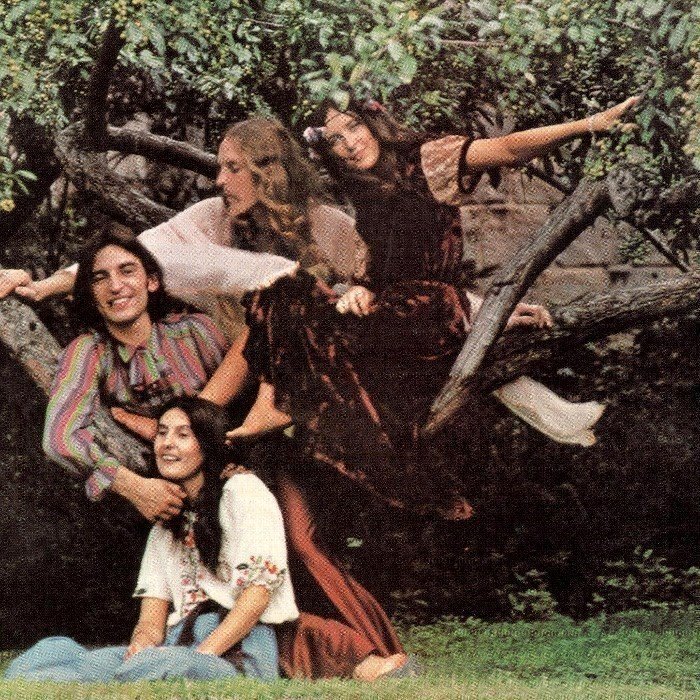 The Incredible String Band | TheAudioDB.com